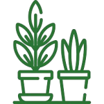 High-Quality Nursery Native Plants | Deep Roots Natives