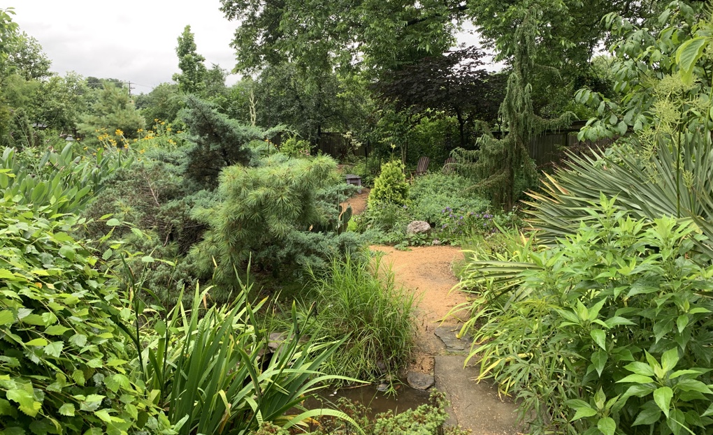 Native Garden Tour | Deep Roots Natives